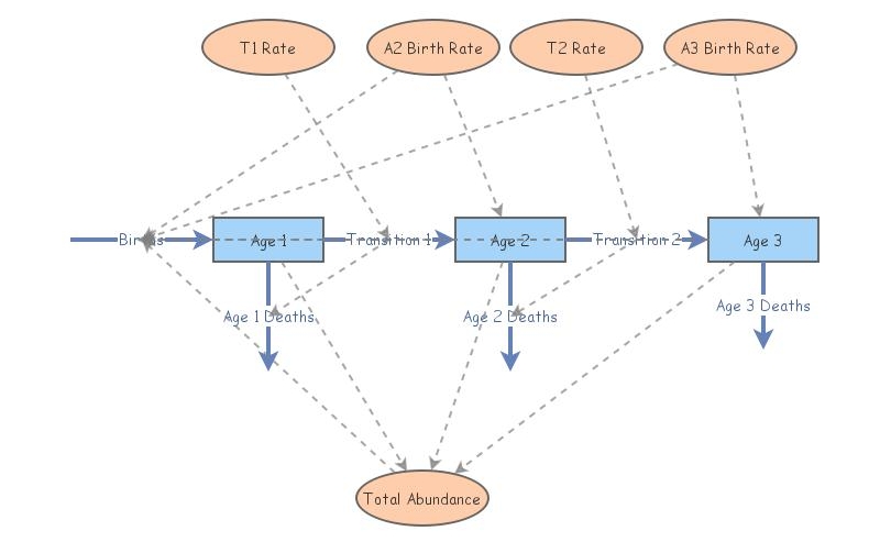 StAge Structured Model | Insight Maker