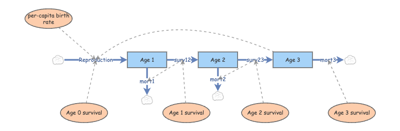 Clone of Age structure lab 3_skeleton | Insight Maker
