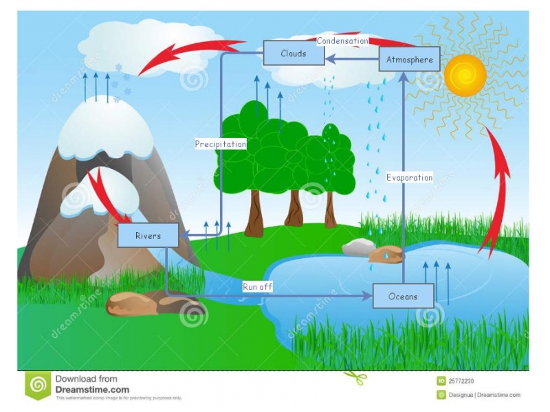 Water Cycle | Insight Maker