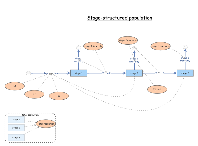 stage structure lab 4 | Insight Maker