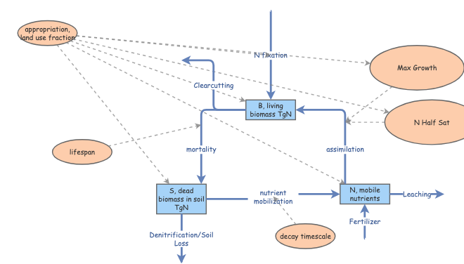 Terrestrial N cycle model | Denise Marc | Insight Maker