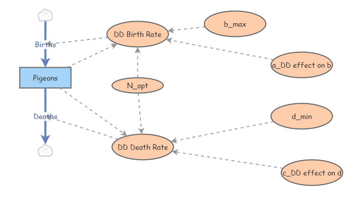 Pigeon Allee Effect | Insight Maker