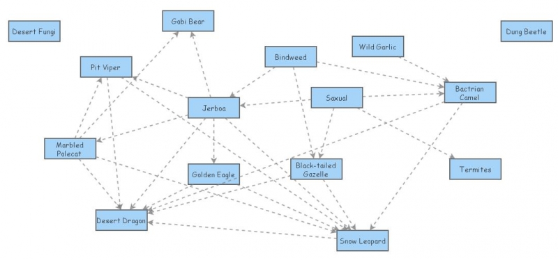 APES Food Web | Insight Maker