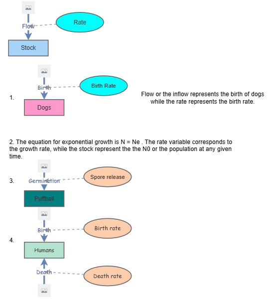 LANGREO_Online Class Activity 1 | Insight Maker