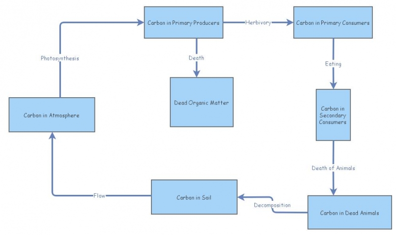 Carbon Cycle Model | Insight Maker