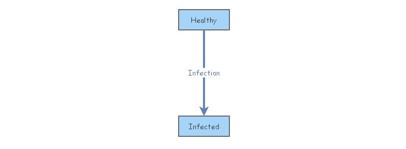 Infection Diagram | Insight Maker