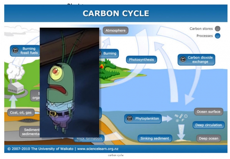 Plankton Project | Insight Maker