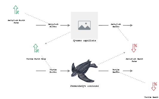 Predator-Prey Relationship | Insight Maker