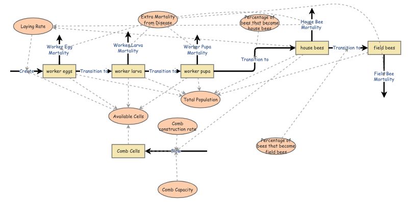 Honeybee hive population model | Insight Maker