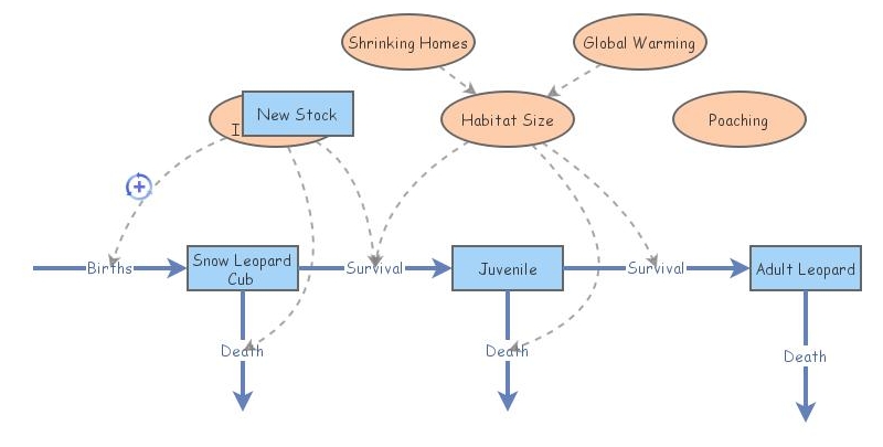 Life Cycle | Insight Maker