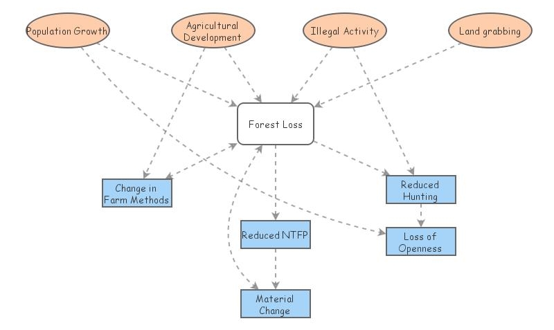 Forest Loss | Insight Maker