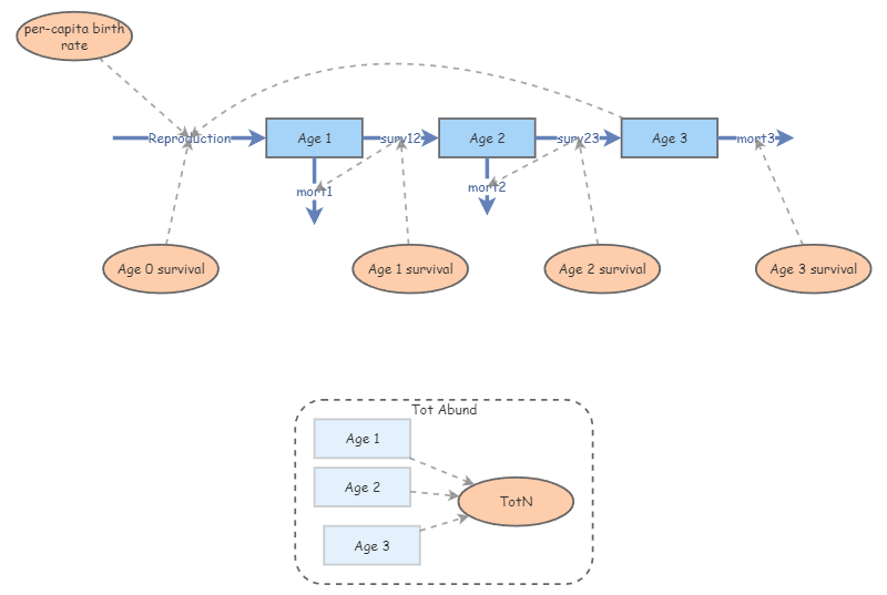 Age structure lab 3_skeleton | Insight Maker