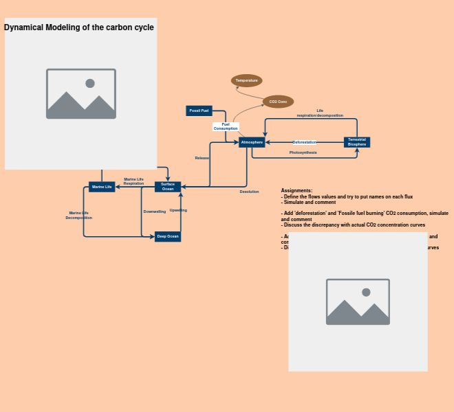 Clone of MscT CSE - Carbon Cycle Model | Insight Maker