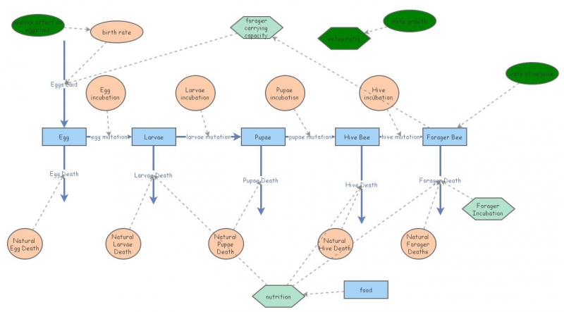 bees! simple flow | Insight Maker