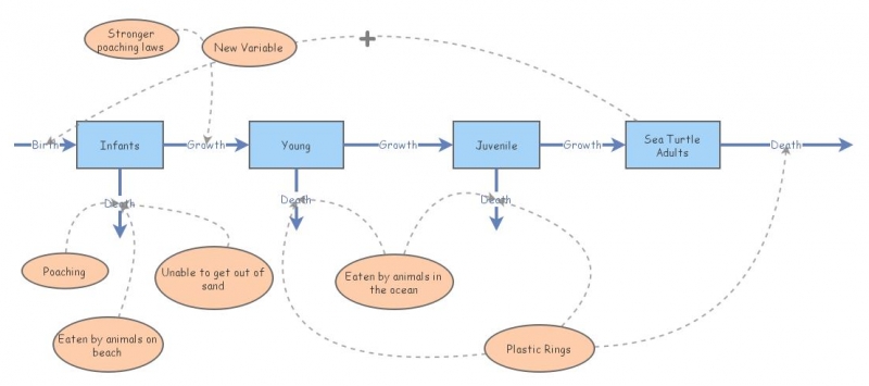 Animal Life Cycle | Insight Maker