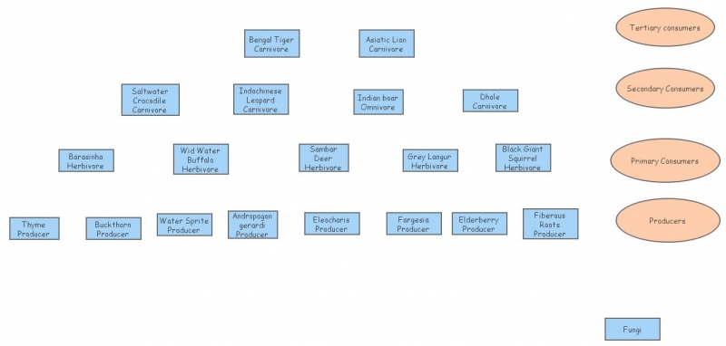 Water Buffalo Food Web | Insight Maker