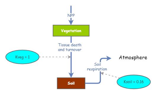 Soil Carbon model | Insight Maker