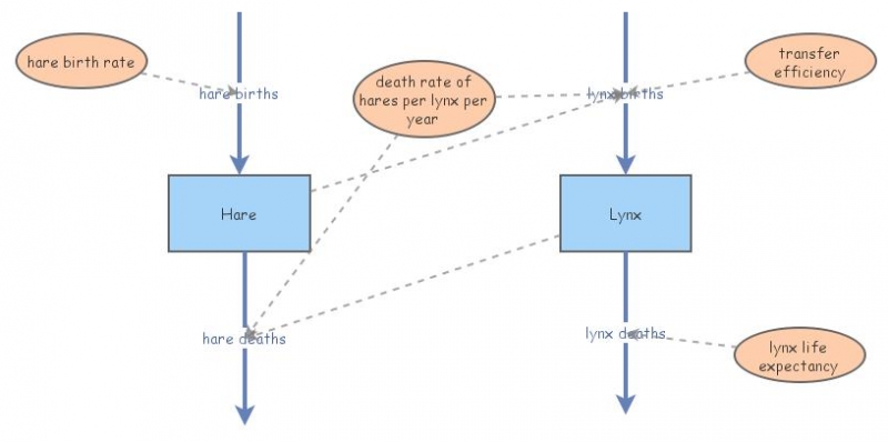 Hare and Lynx | Insight Maker