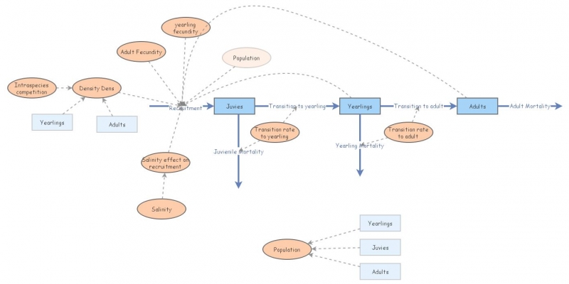 Final:D | Insight Maker