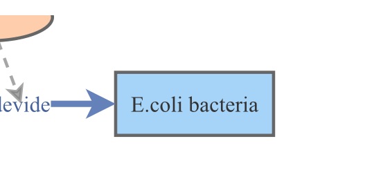 1 - E.Coli Bacteria | Insight Maker