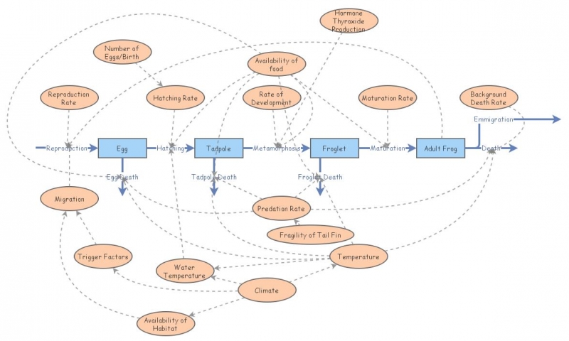 Heidebrecht Life Cycle Map for Test 1 | Insight Maker