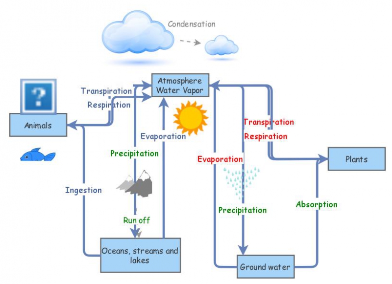 Water Cycle | Insight Maker