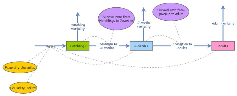 Stage-based Model (redtailed hawk) | Insight Maker