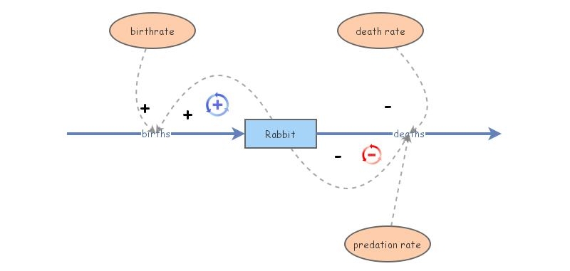 rabbits | Insight Maker