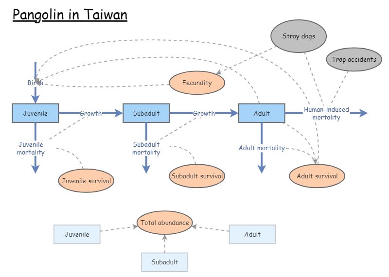 Pangolin PVA | Insight Maker
