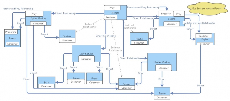 Clone of Amazon RainForest food web | Insight Maker