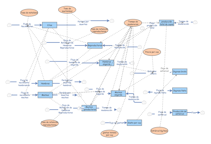 Cuyes modelo | Insight Maker