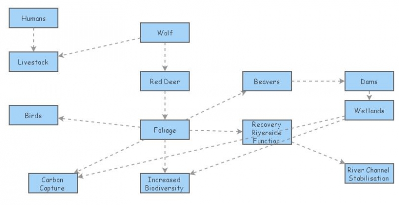 Scottish Highlands Ecosystem Model | Insight Maker