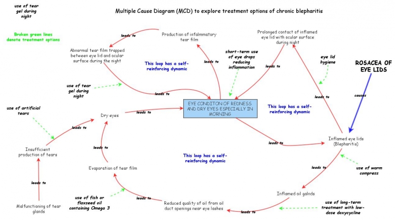 Multiple Cause Diagram (MCD) to explore treatment options of chronic blepharitis | Insight Maker