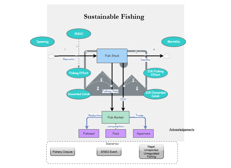 Case Study- Marine Tourism- Coral reef sustainability | Insight Maker