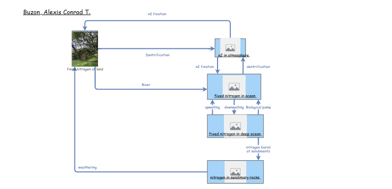 Nitrogen Cycle | Insight Maker