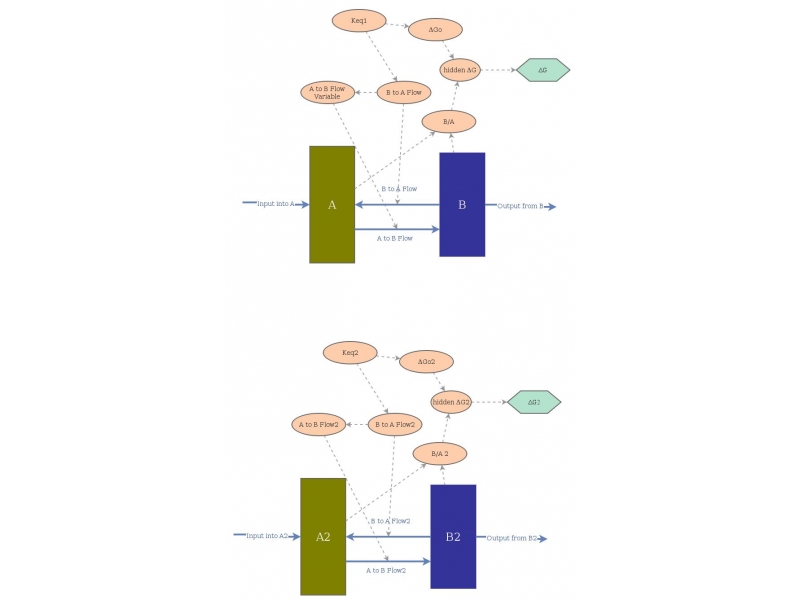 Biol 205 ΔG and Keqs - parallel models | Insight Maker