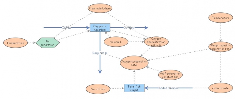 Primitive aquarium setup with Tilapiine chiclids -Assignment 2. | Insight Maker