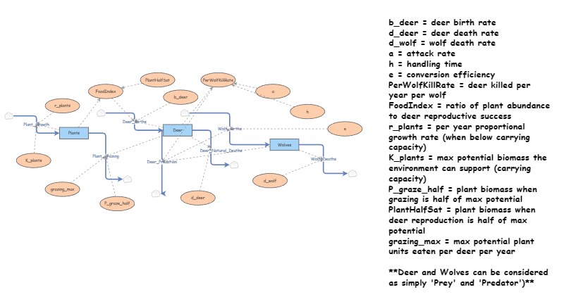 Ecosystem Simulation | Insight Maker