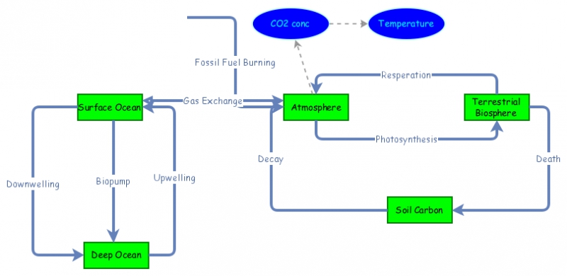 Carbon Cycle | Insight Maker