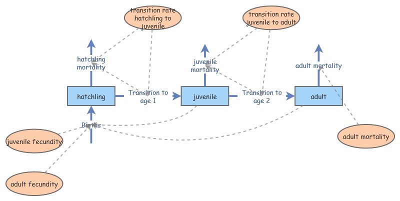 Clone of Age-structured model | Insight Maker