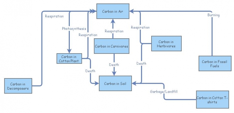 carbon cycle | Insight Maker