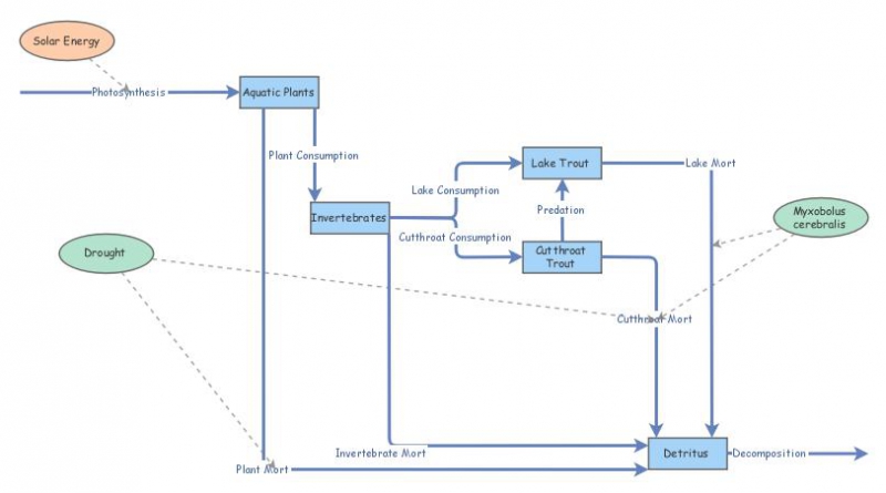 Yellowstone Lake | Insight Maker