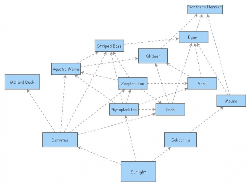 Salt Marsh Food Web | Insight Maker