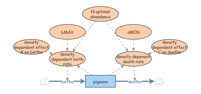 pigeon allee effect | Insight Maker
