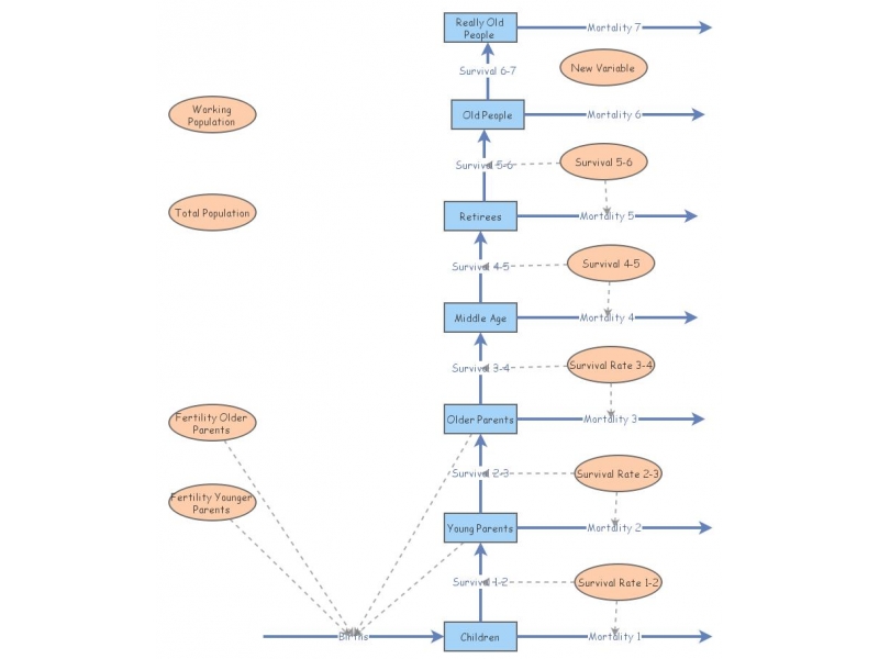 Age Structure Model | Insight Maker
