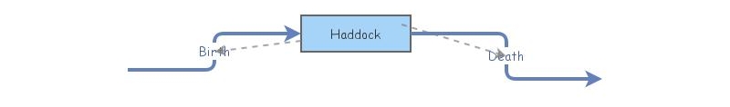 Haddock Linear Flow Model | Insight Maker