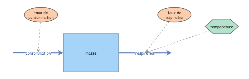 My first Simulation | Insight Maker