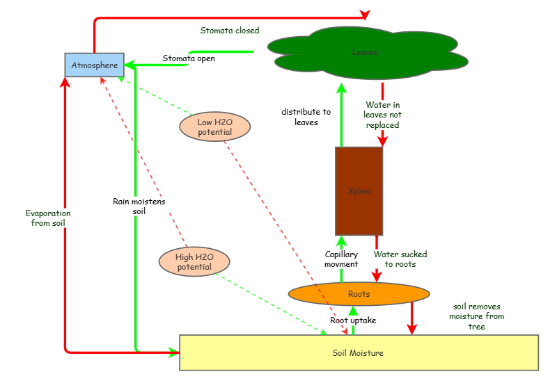 systems thinking water diagram trees | Insight Maker