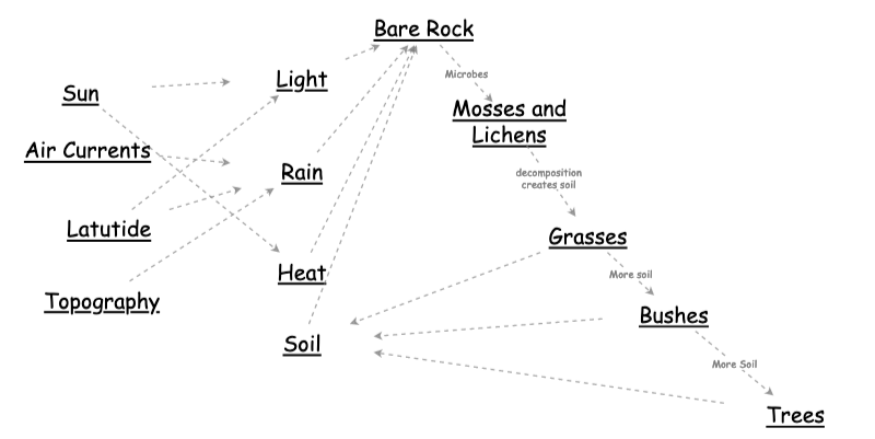 soil succession feedback loop | Insight Maker