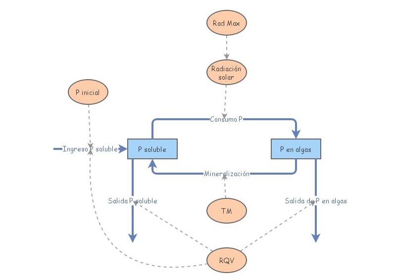 dinámica del P (clase repaso) | Insight Maker